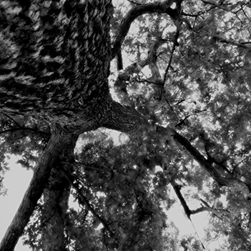 Écouter Oh, Light par Joseph Beaty sur Amazon Music Unlimited