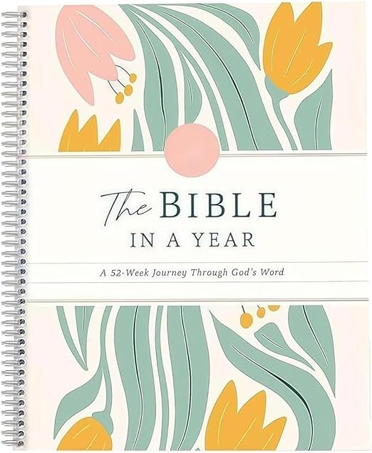 Amazon.com : Bible of the Year: 52 Weeks of Women's Study, Spiral Bible ...
