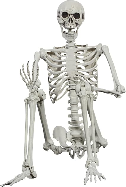 SIFOEL Scheletro di Halloween 165 cm realistico dimensione di vita ...