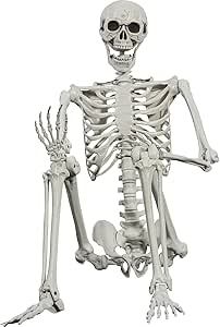 Halloween Posable Skeleton - 165cm Realistic Life Size Human Skeleton ...