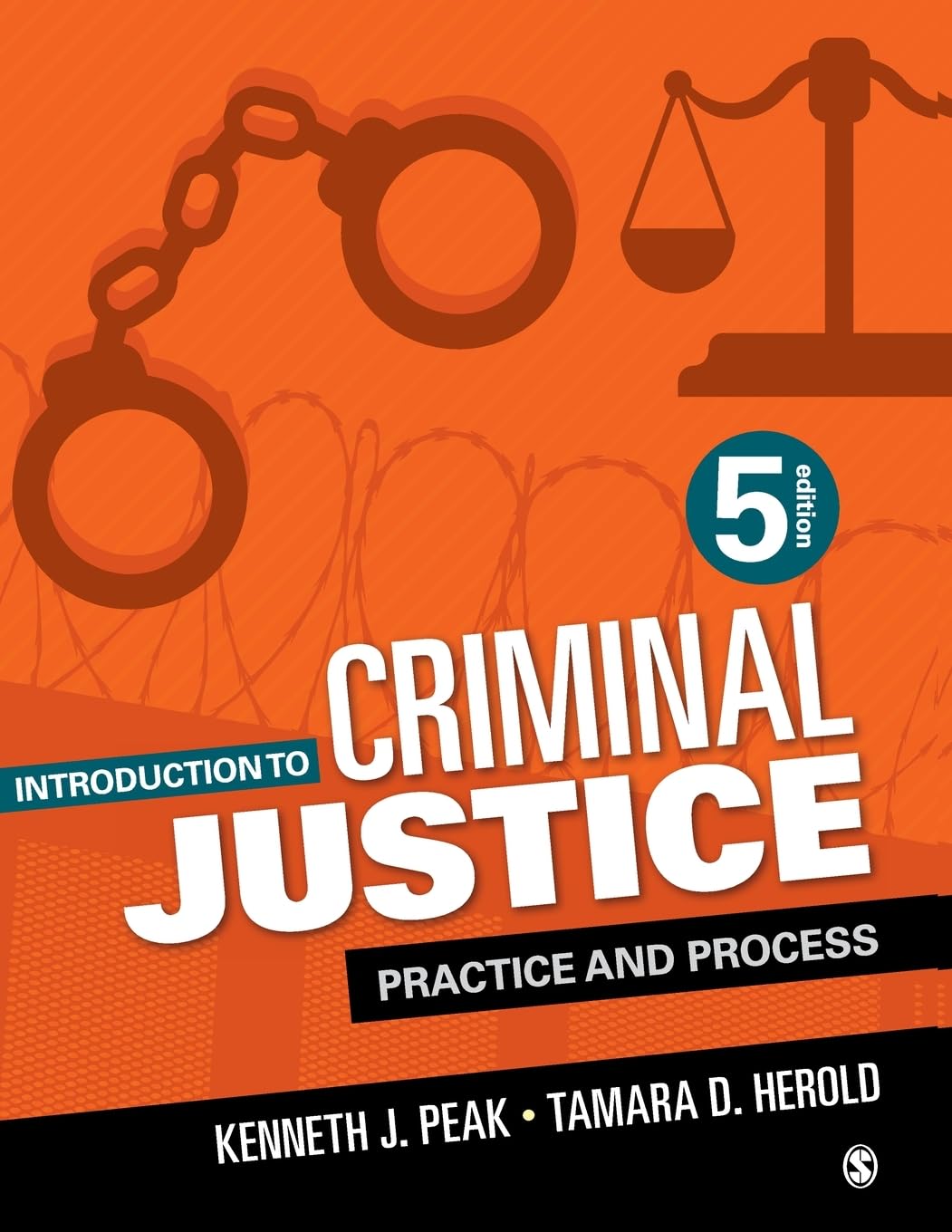Introduction to Criminal Justice: Practice and Process: Peak, Kenneth J ...