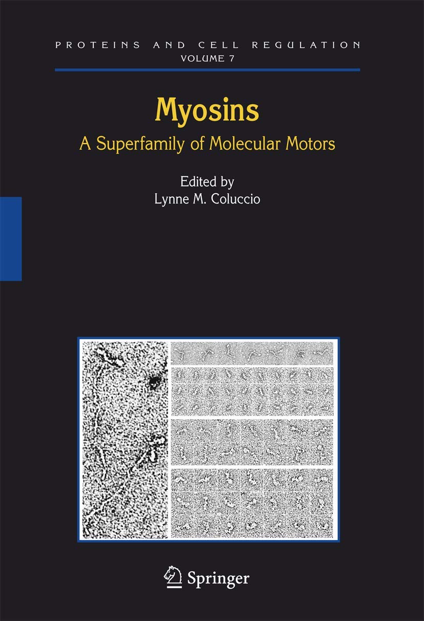 Myosins: A Superfamily of Molecular Motors (Proteins and Cell ...