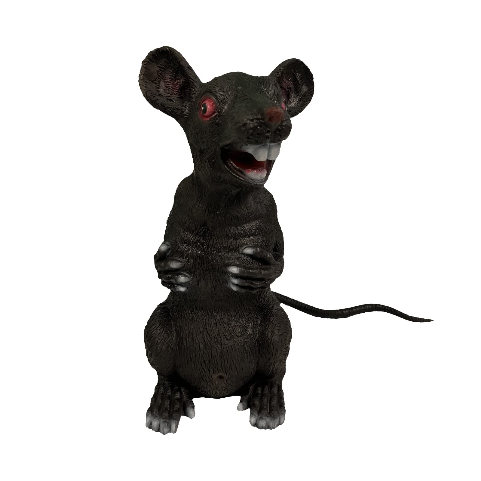 Scared Mouse Animal
