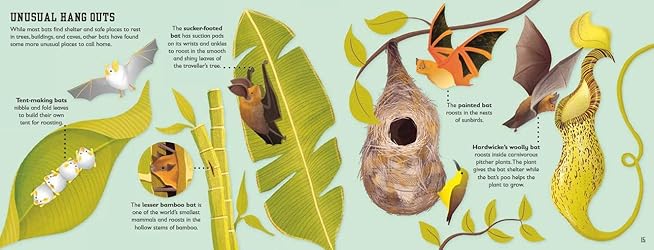 The Bat Book (Conservation for Kids): Milner, Charlotte, Milner ...