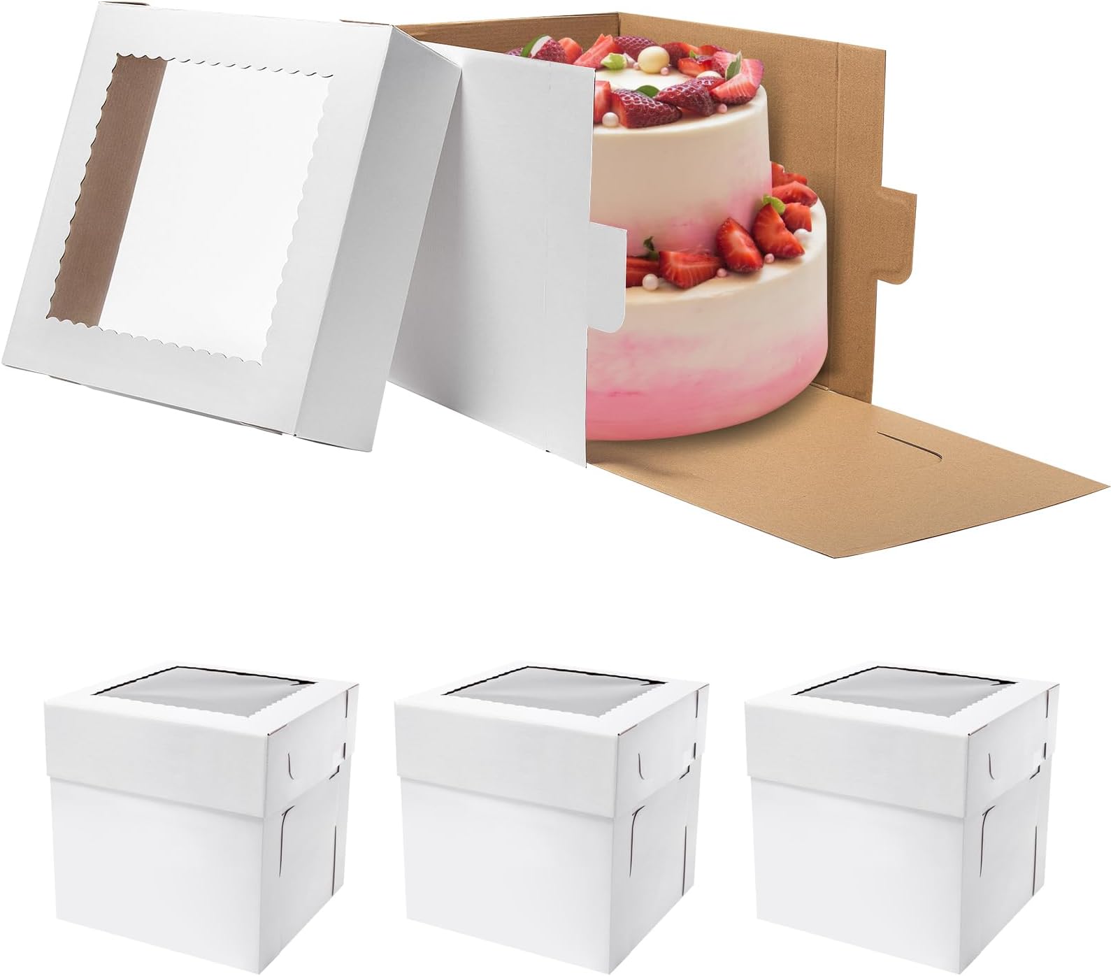 Amazon.com: Glowcoast 10 inch Large Cake Box (12 ct) - 10x10x7 Tall ...