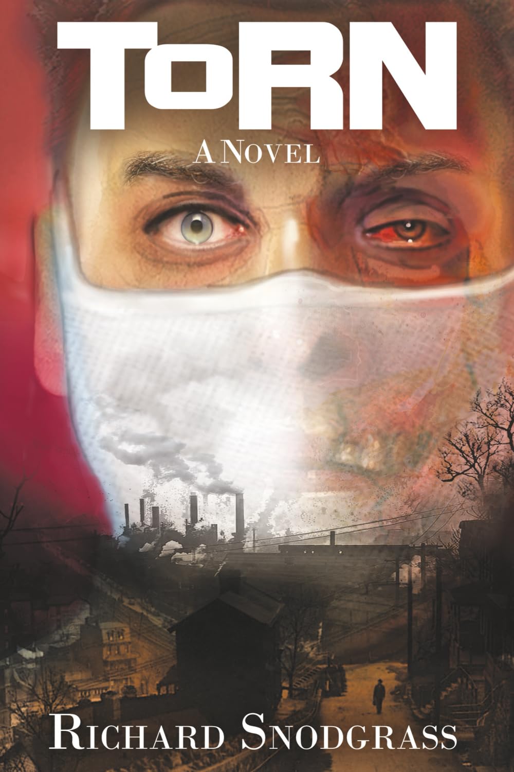 Torn: Snodgrass, Richard: 9781737382461: Amazon.com: Books