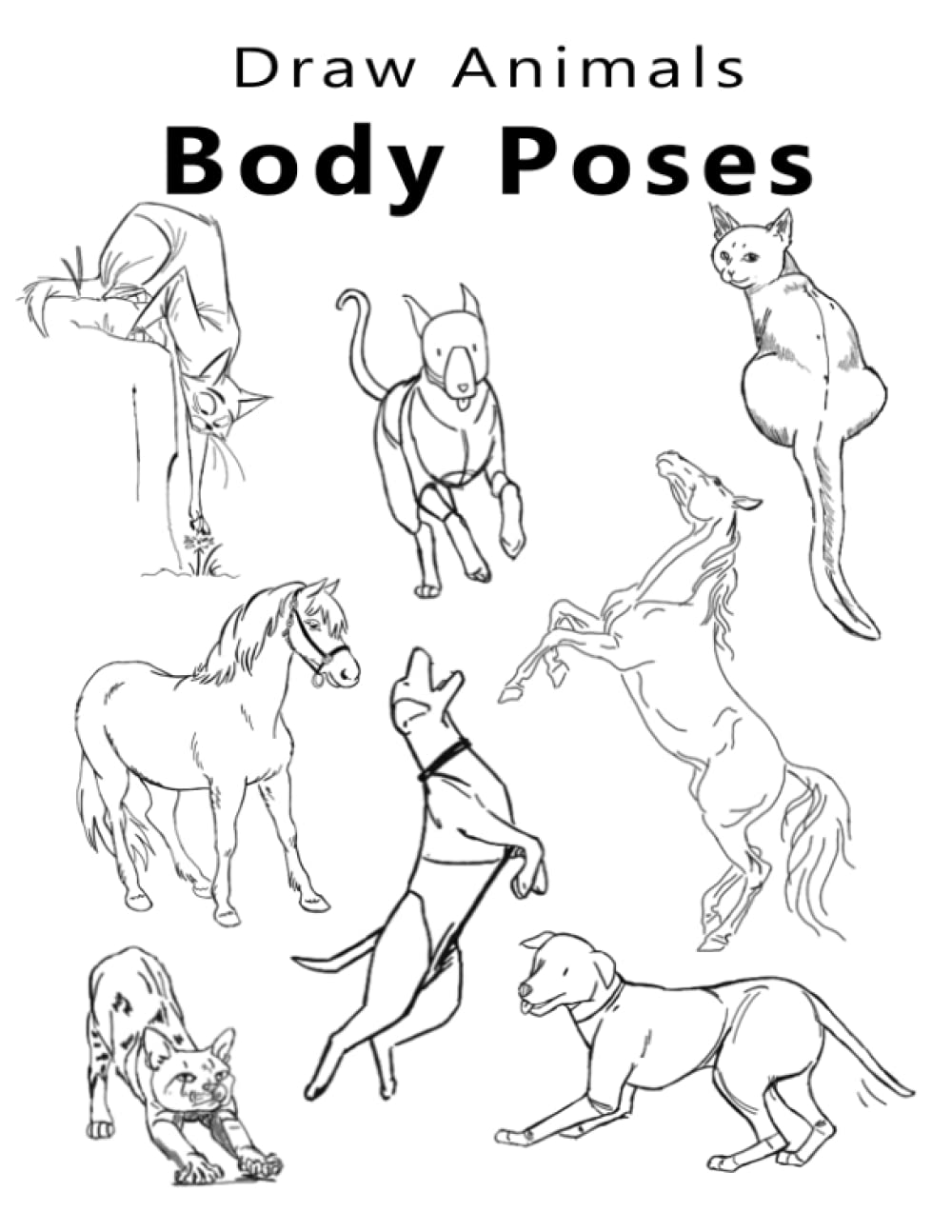Draw Animals Body Poses Draw Animal Body Poses How To | Desertcart Aruba