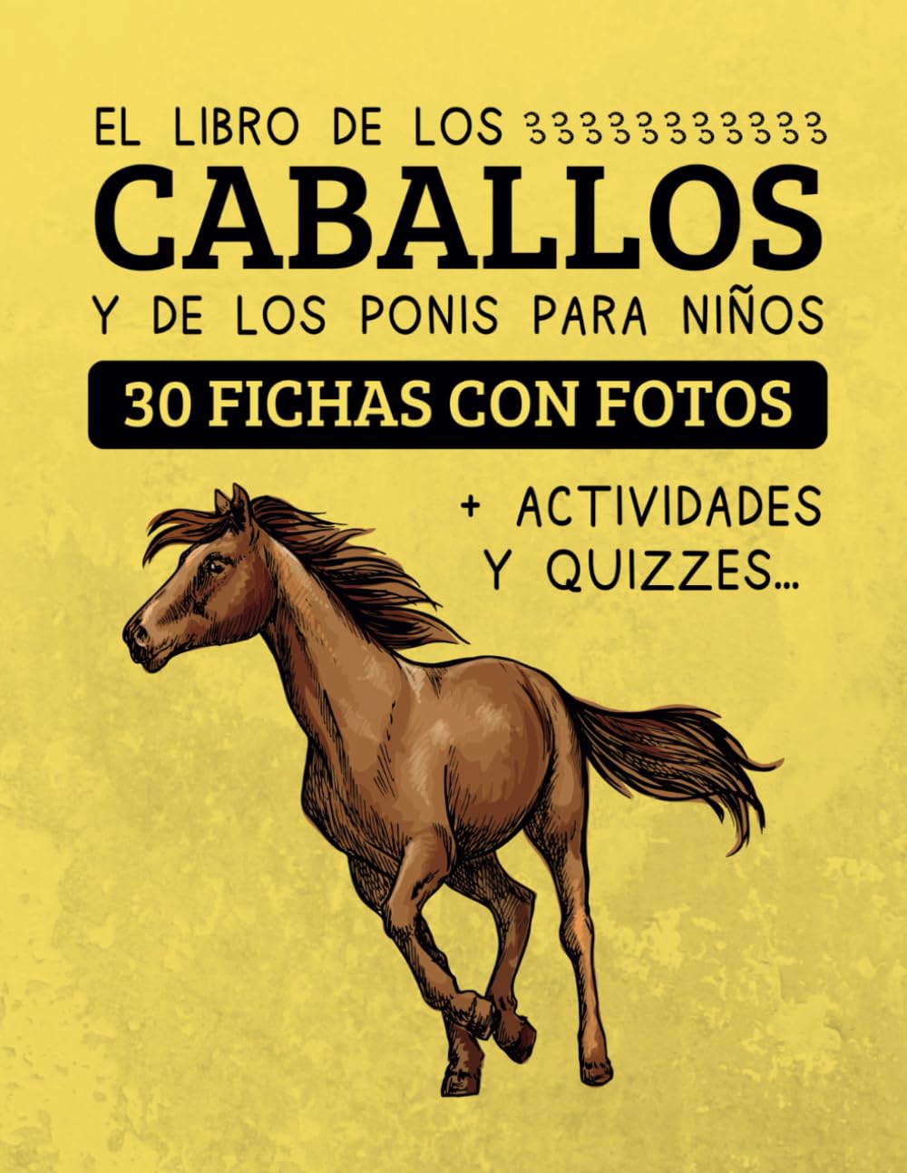 EL LIBRO DE LOS CABALLOS Y DE LOS PONIS PARA NIÑOS: Enciclopedia de ...