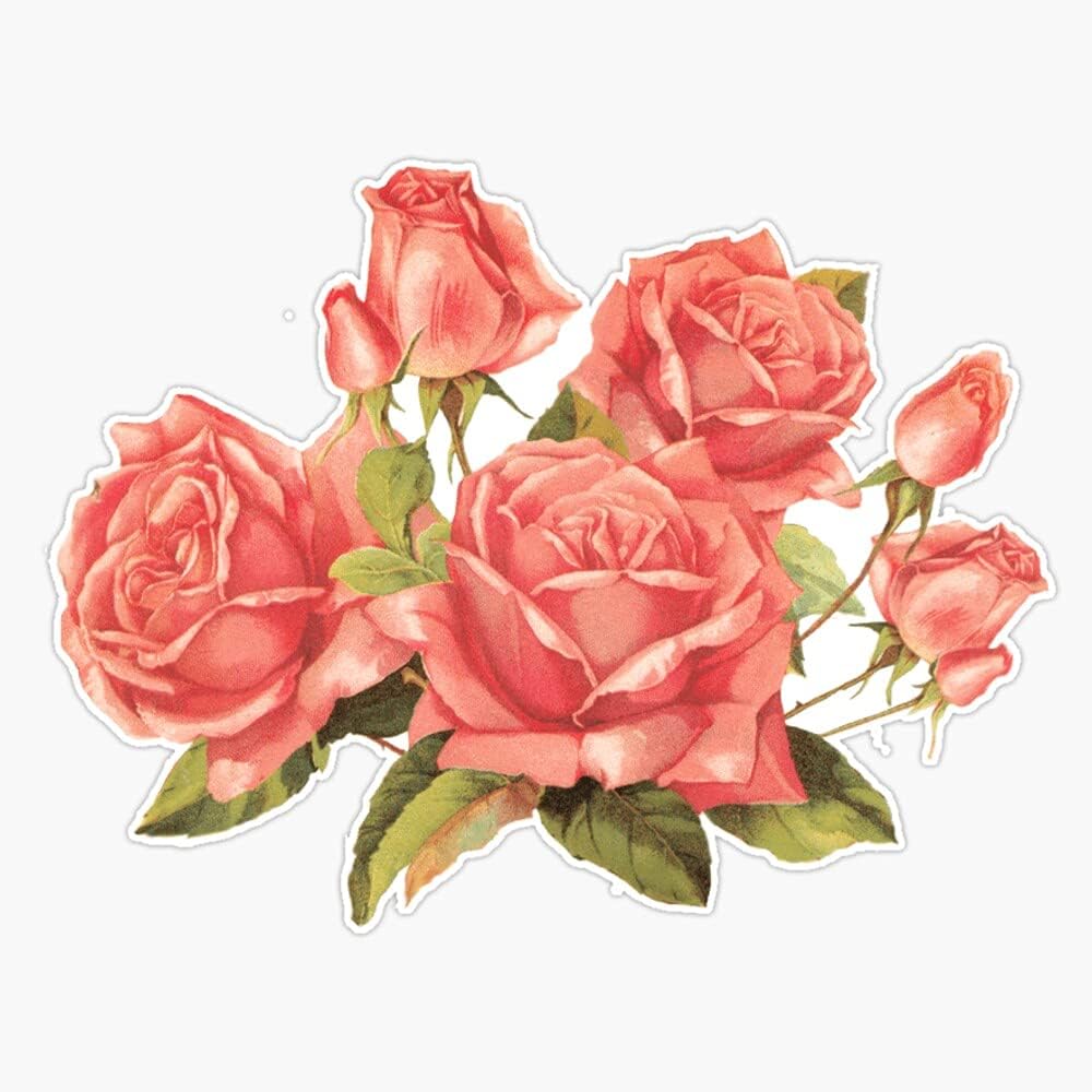 Amazon.com: Vintage Rose Beautiful Vinyl Sticker - Car Phone Helmet ...