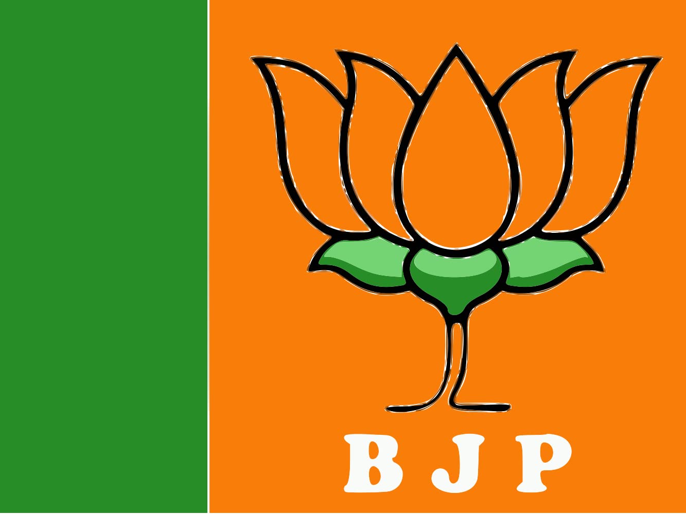 Bjp Flag