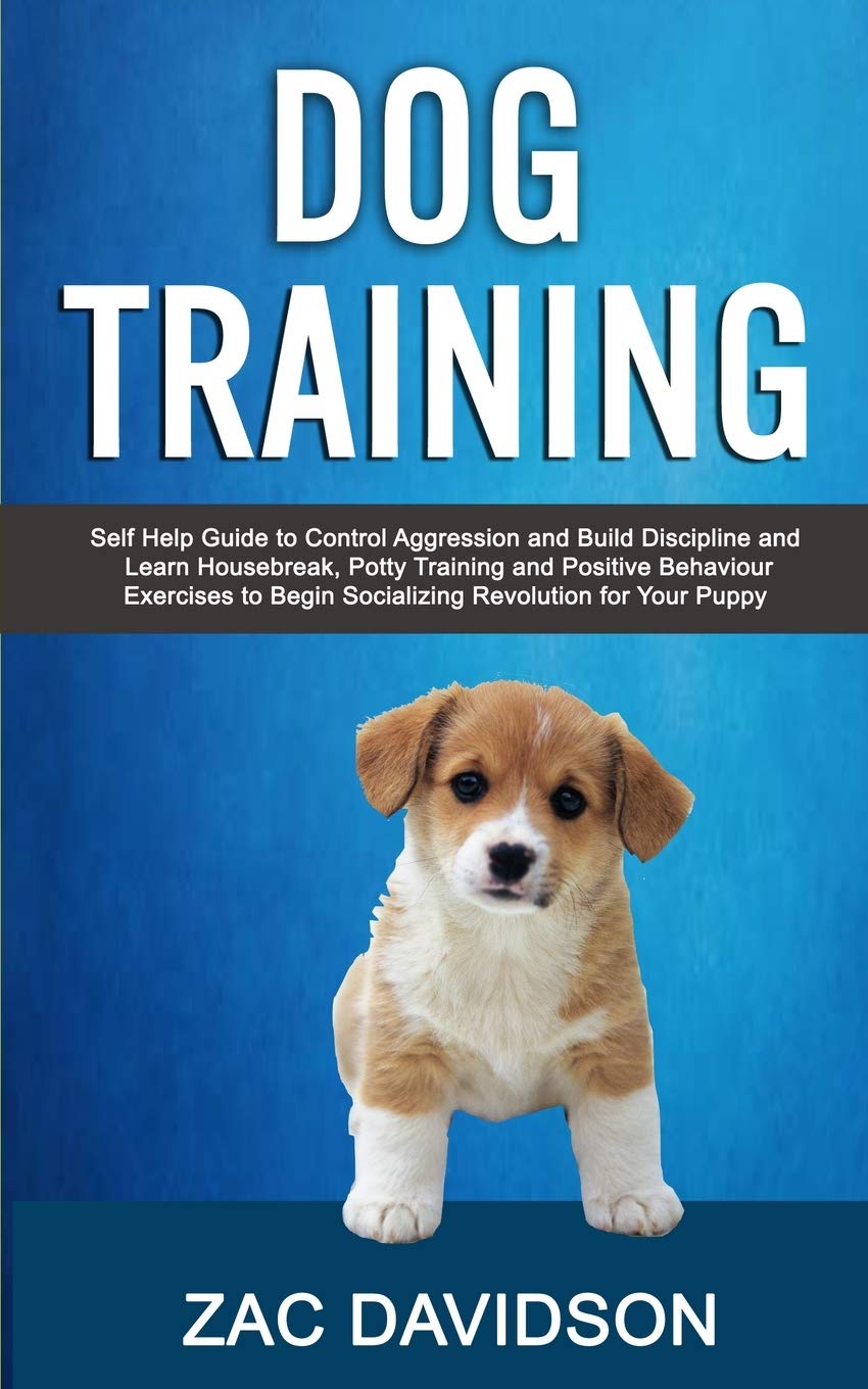 How Do I Discipline My Dog Positively