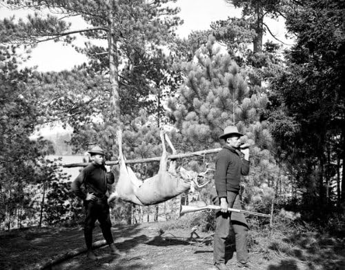 Amazon.com: HUNTING IN THE ADIRONDACKS NY 1900's 11x14 PHOTO #2 ...