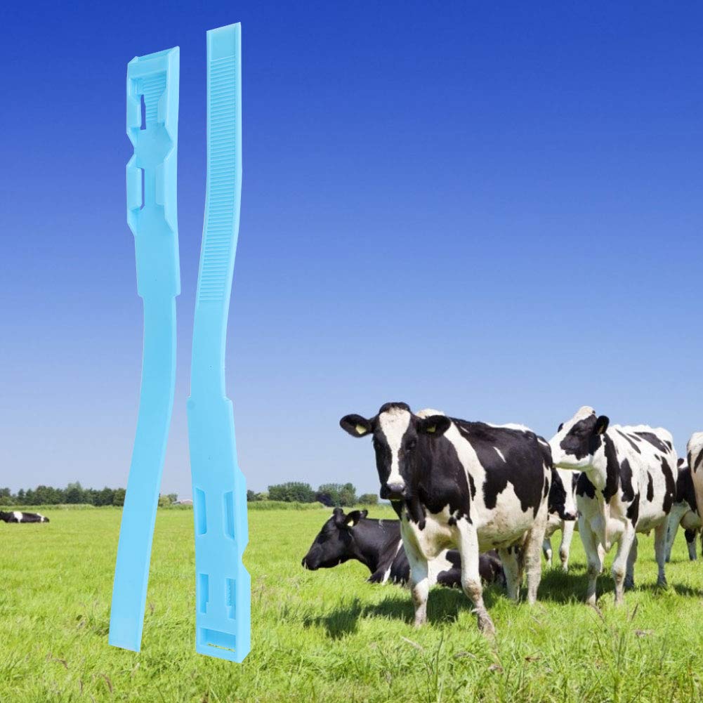 Cattle Id Bands Cikonielf 4PCS Livestock Identification Bands ...