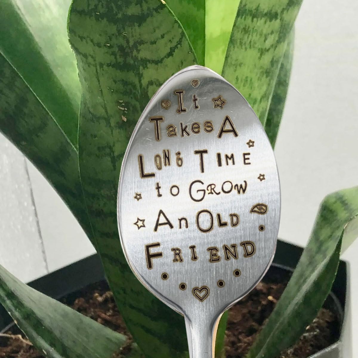 Amazon.com: 2 Packs Garden Marker Friendship Gift, Metal Silver Spoon ...