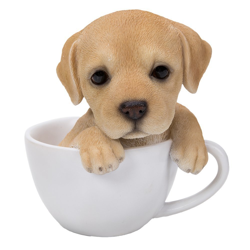 Amazon.com: Pacific Giftware Adorable Teacup Pet Pals Puppy Collectible ...