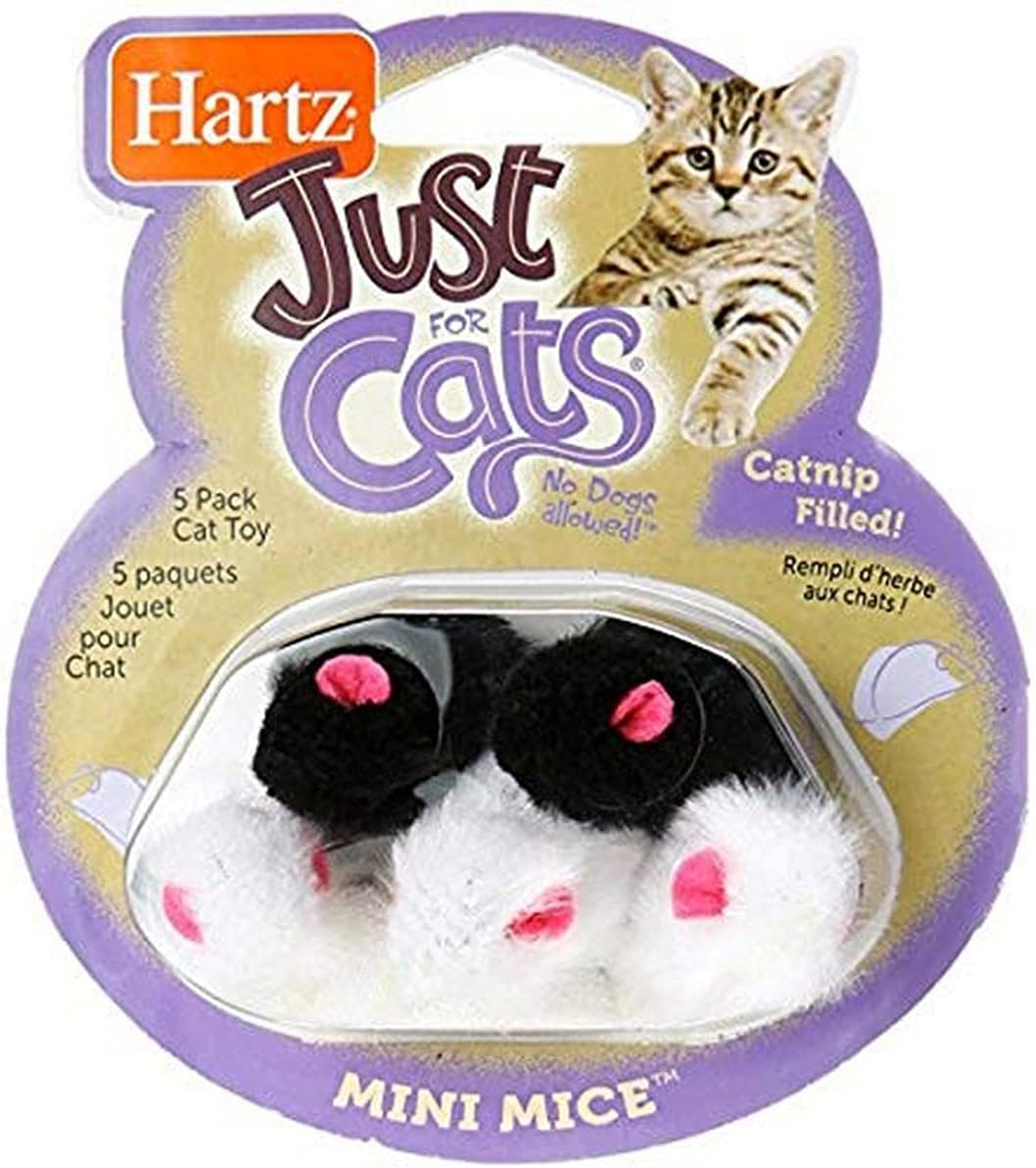 Amazon.com : Kole Imports Mini Mice Cat Toys : Pet Supplies