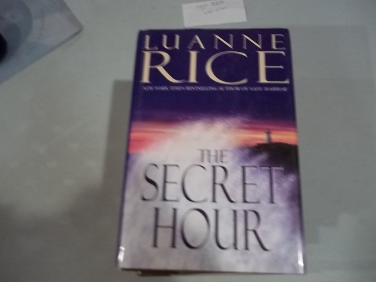 The Secret Hour: Rice, Luanne: 9780553897227: Amazon.com: Books
