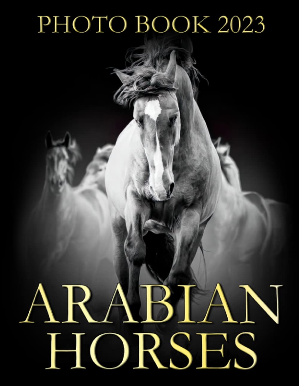 Arabian Horse Photo Book: Picture Book Of Arabian Horse With 30+ Photos ...
