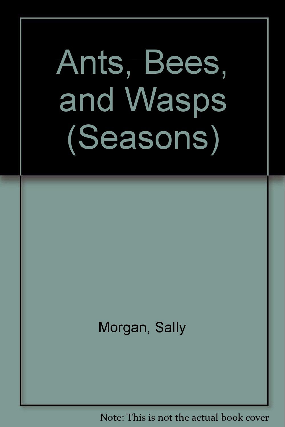 Ants, Bees, and Wasps (Looking at Minibeasts): Morgan, Sally ...