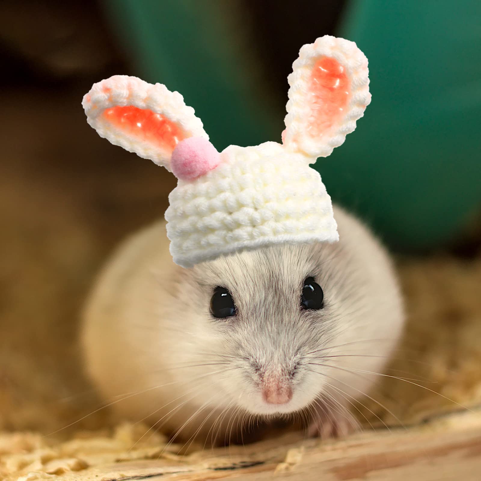 Cute Hamsters With Hats Hersenen Pet Hoed Geschenken