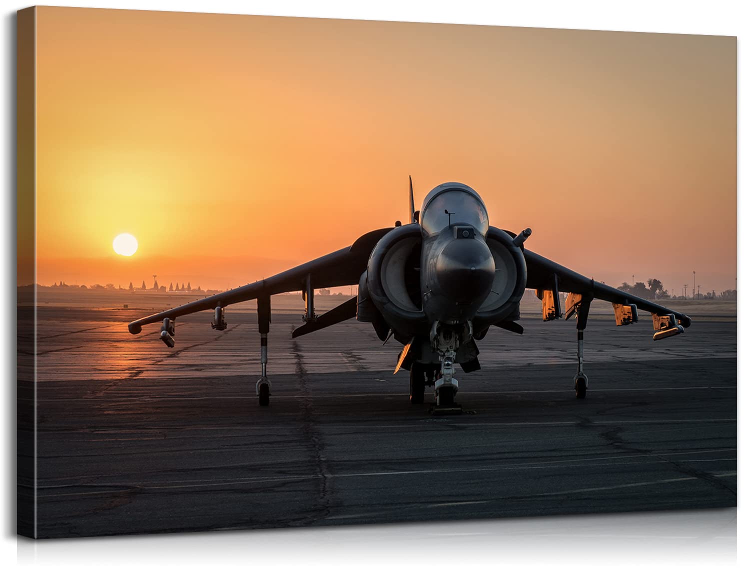 Amazon.com: Airplane Decor AV-8B Harrier II Fighter Aviation Jets ...