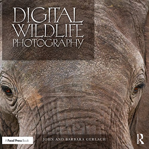 Amazon.com: Digital Wildlife Photography eBook : Gerlach, John, Barbara ...