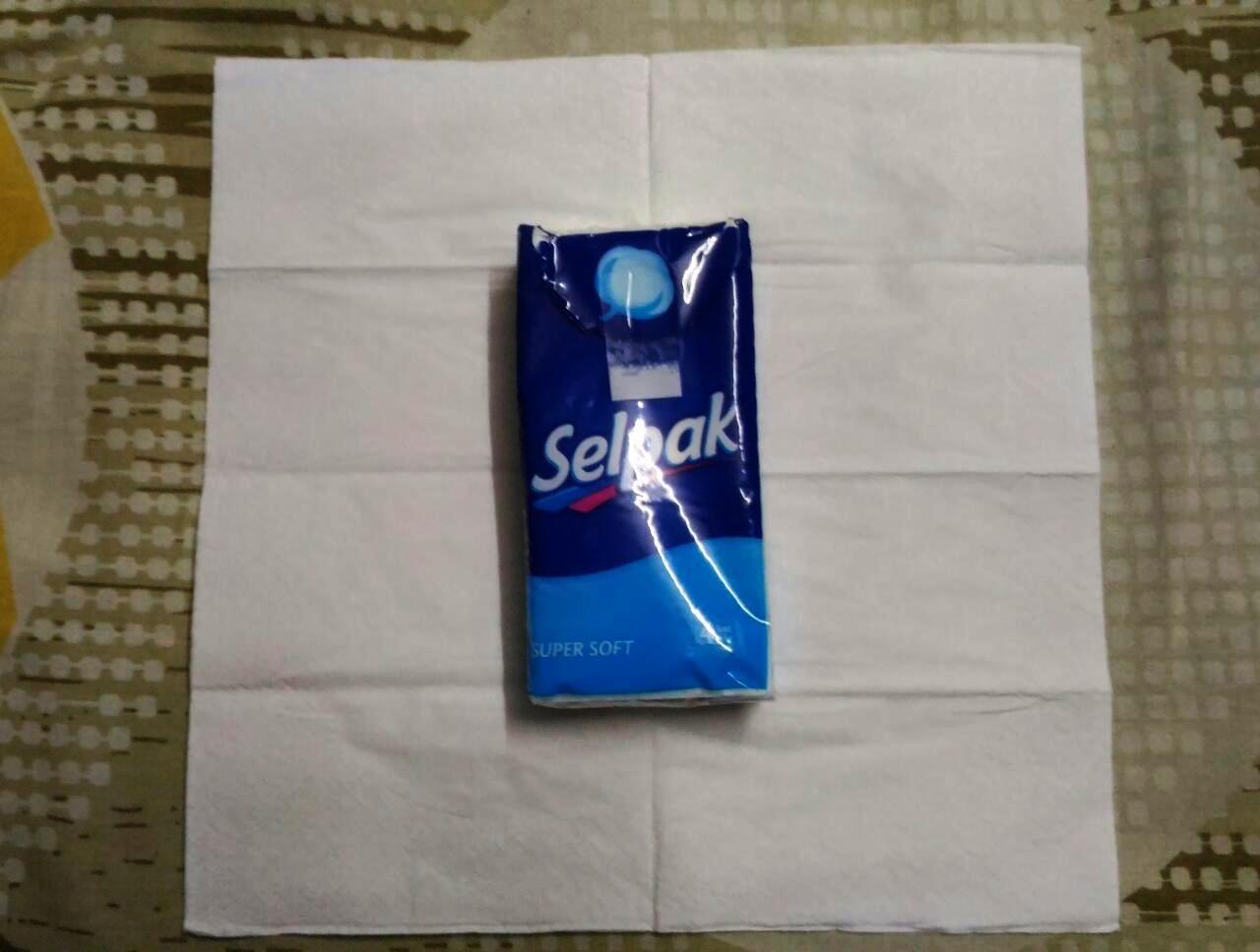 Selpak Pocket Hanky Tissue (Super Soft (Non-perfumed)) : Amazon.in ...