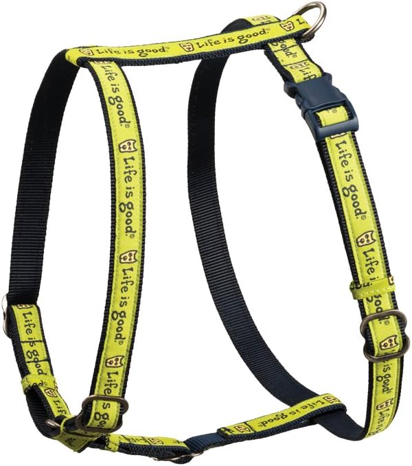 Amazon.com : Life is Good Nylon Rocket Harness, Small, Retro Green ...