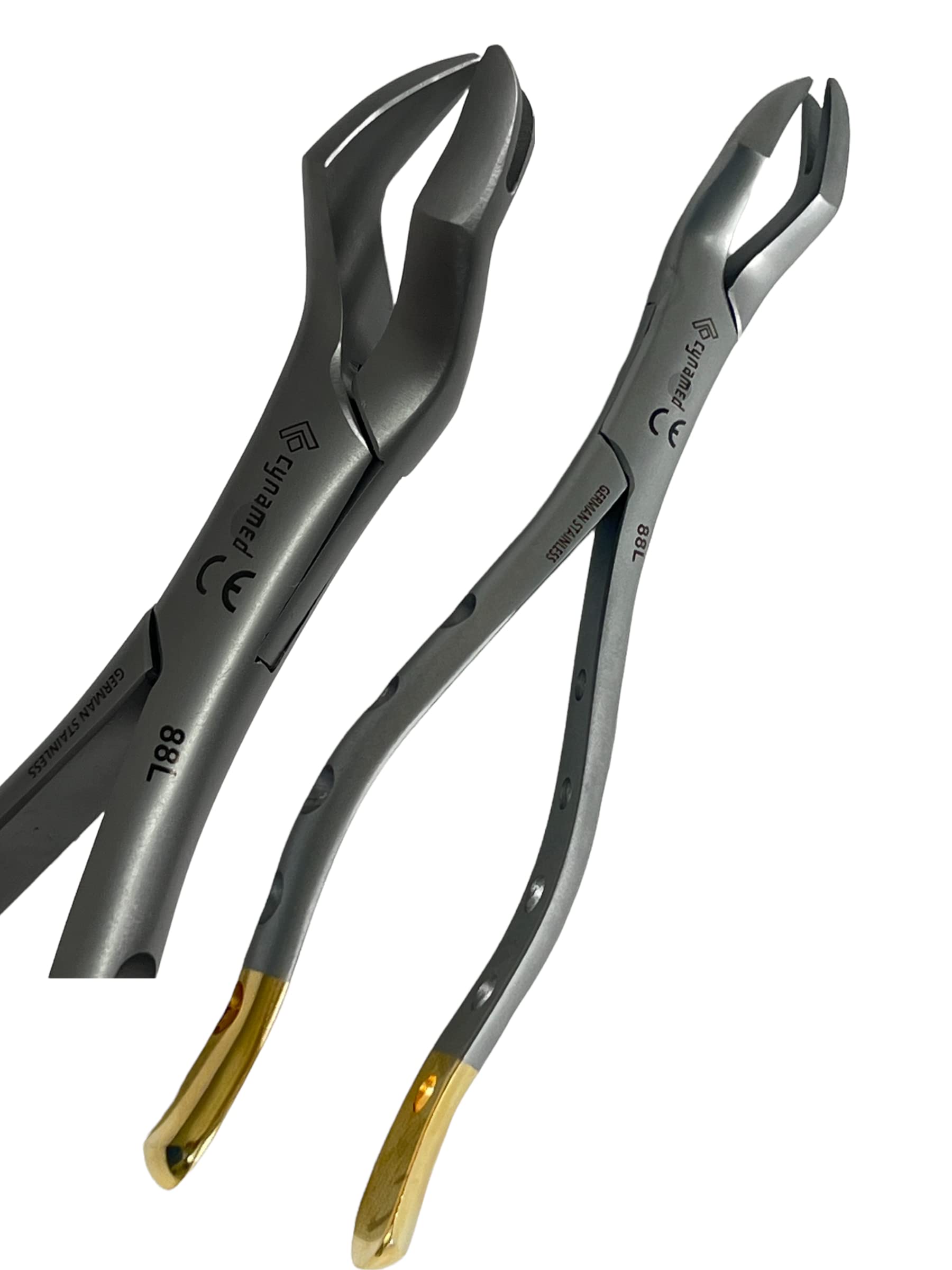 Amazon.com: Premium German Dental Extracting Extraction Forceps with ...