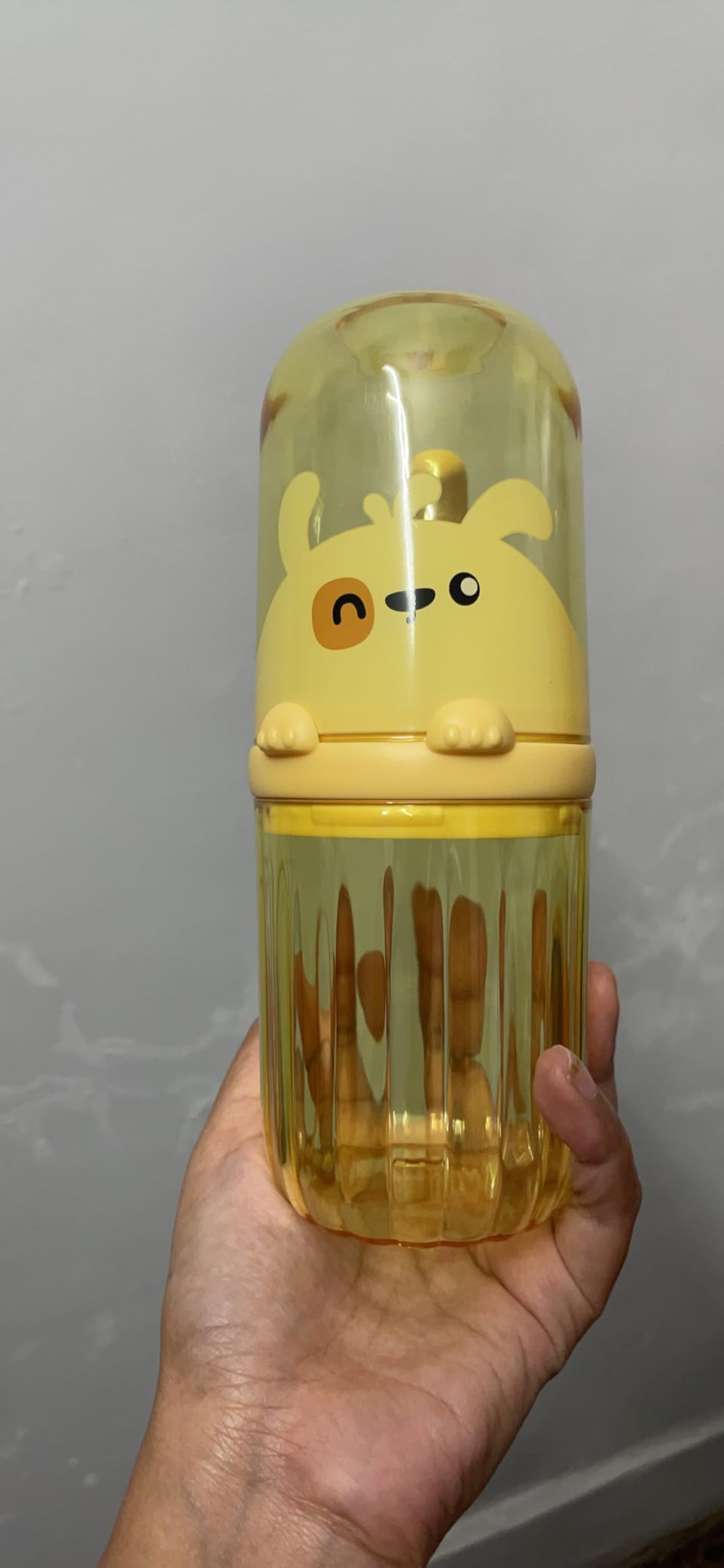 Buy DCELLA Stylish Panda Portable Toothbrush Storage Box Plastic ...