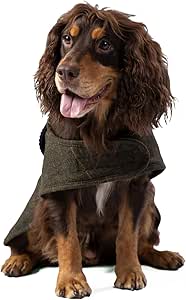 HUGO & HUDSON x HACKETT Tweed Dog Jacket Coat Corduroy Collar, Dark ...