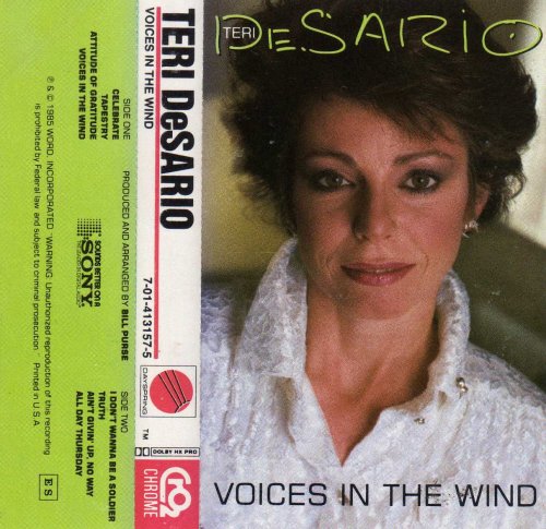 Teri DeSario - Voices In The Wind - Amazon.com Music