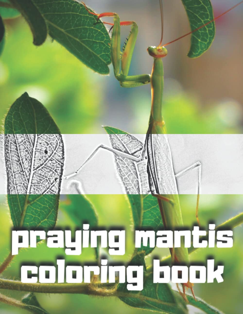 Buy praying mantis coloring book: amazing designs praying mantis ...