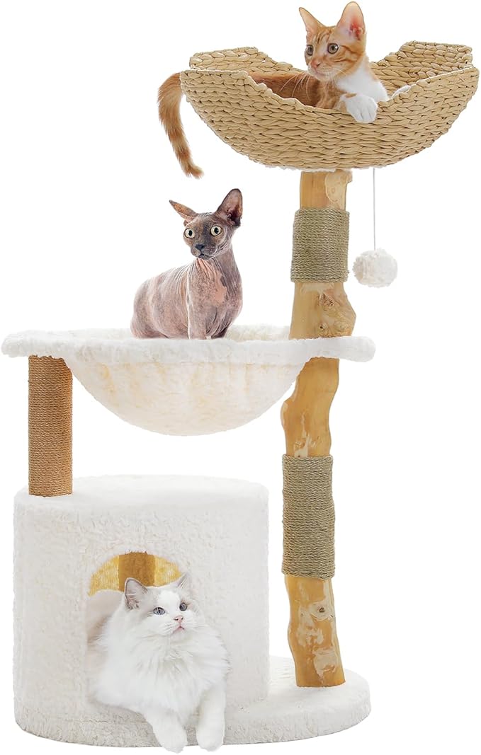 PEQULTI Modern Cat Tree Wood Solid Cat Condo with Big Metal Frame ...
