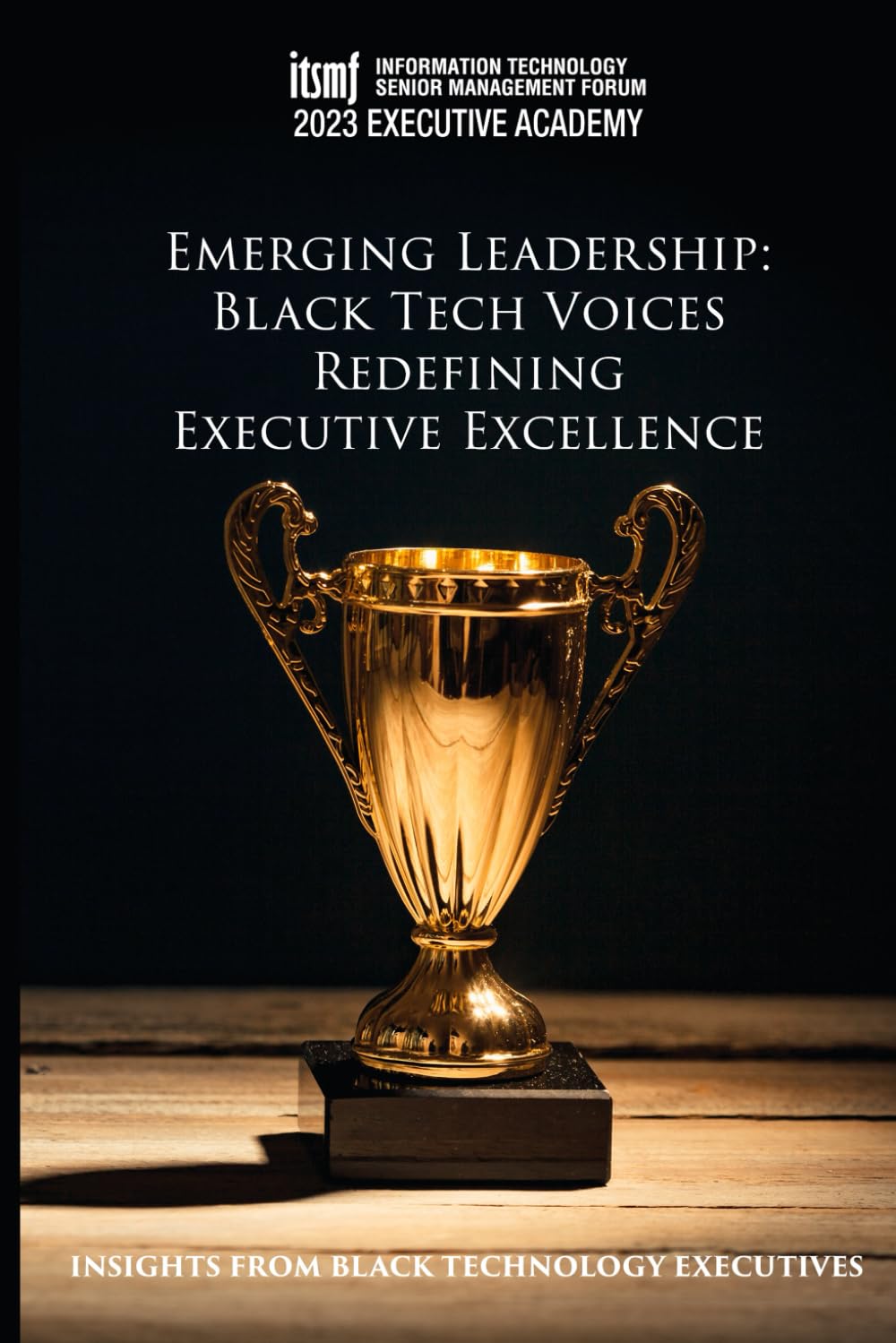 Emerging Leadership: Black Tech Voices Redefining Executive Excellence ...