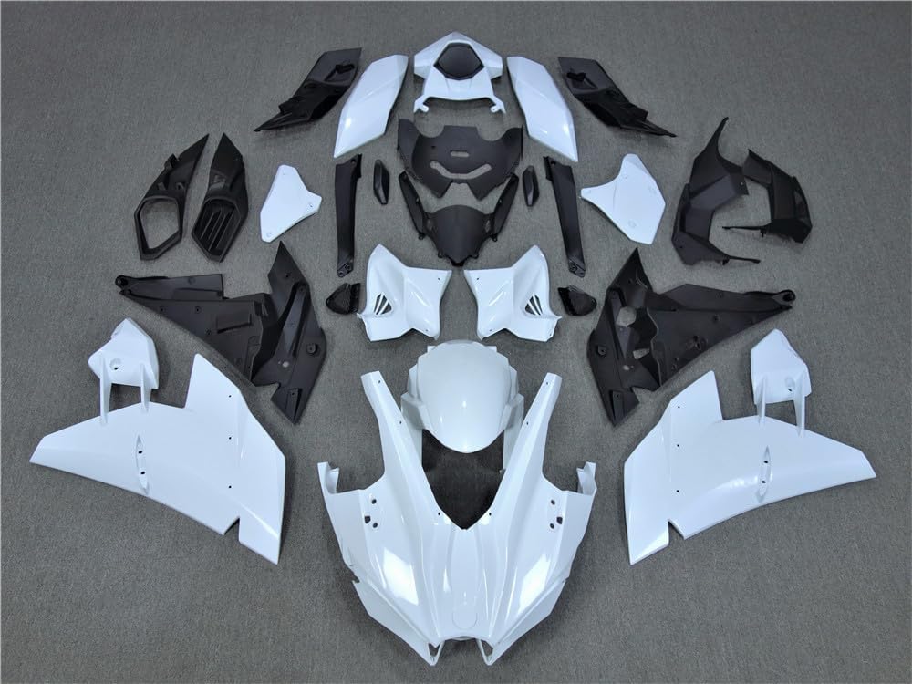 Amazon.com: Motorcycle Fairings Kit Fit For H2 H2R 2015 2016 2017 2018 ...