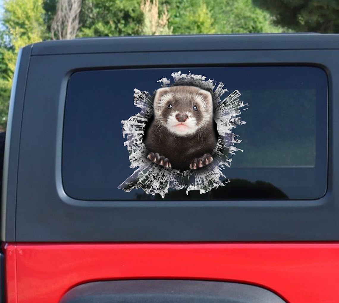 Amazon.com - Ferret Window Decal, Ferret Sticker, Ferret car Decal ...