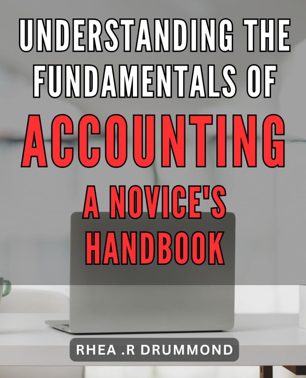 Understanding the Fundamentals of Accounting - A Novice's Handbook ...