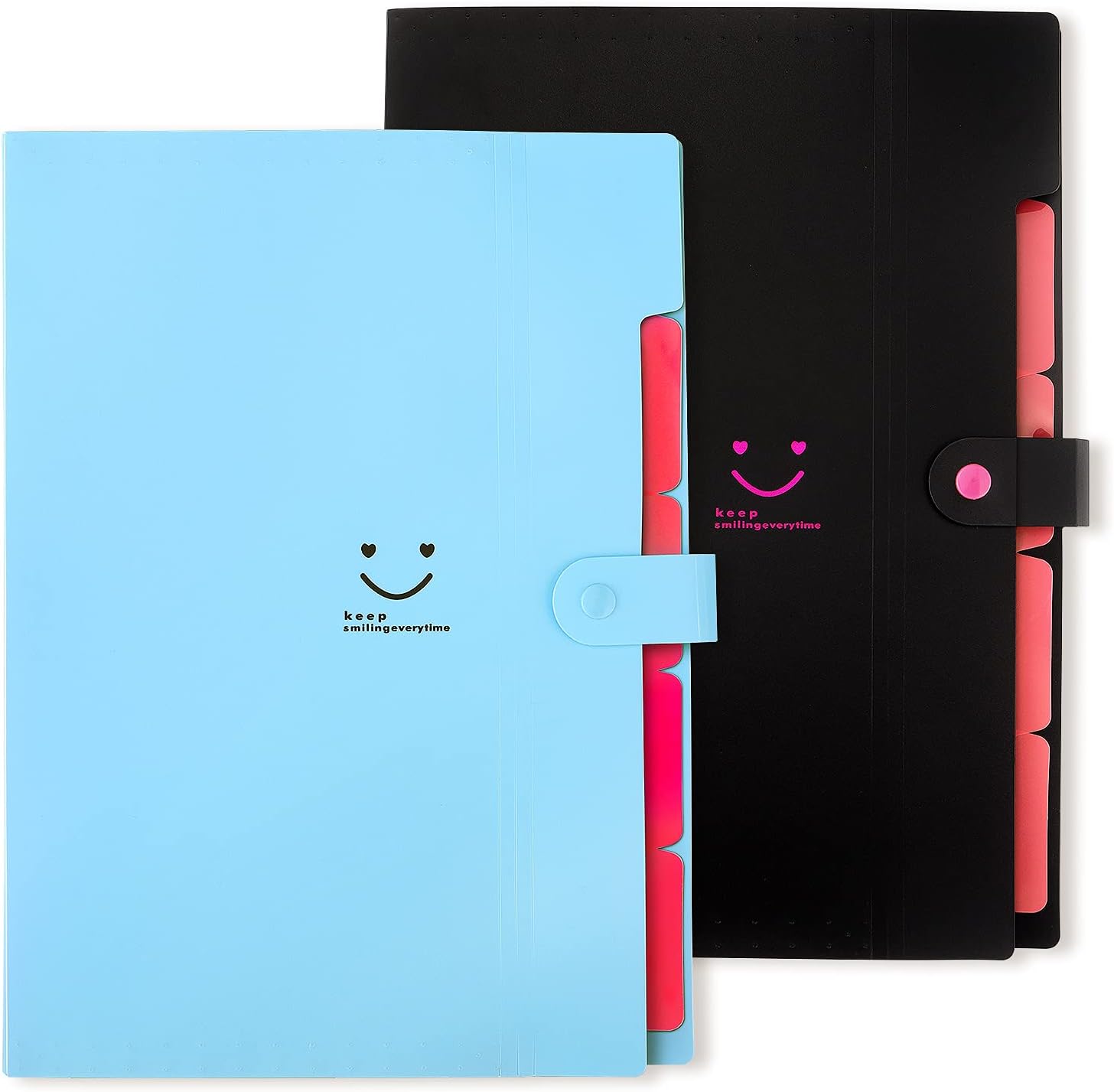 Amazon.com : Plastic Folder with Prongs 2 Pocket - up&up (Black ...