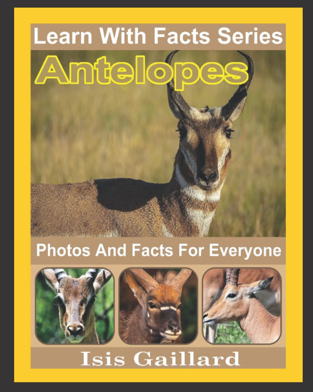 Antelopes Photos and Facts for Everyone: Animals in Nature (Learn With ...