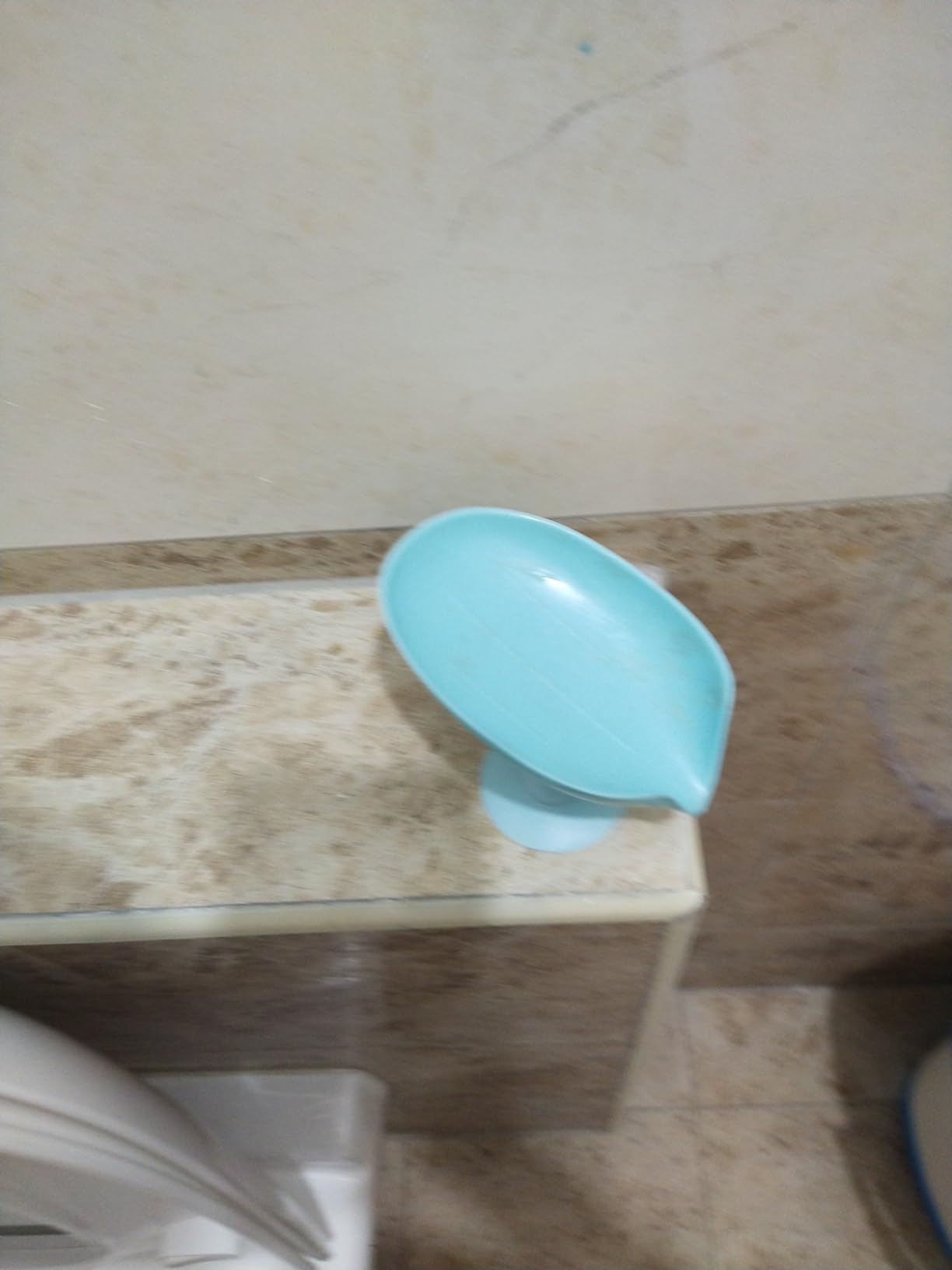 MTR Plastic Soap Case for Bathroom Soap Dish/Soap Case/Soap Stand (pack ...