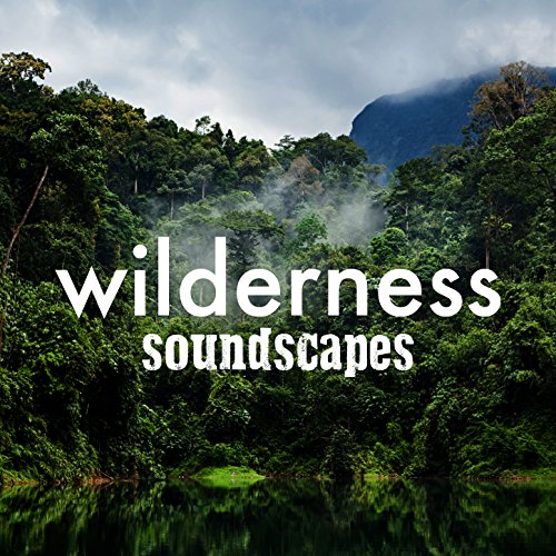 Amazon.com: Wilderness Soundscapes : Forest Soundscapes: Digital Music
