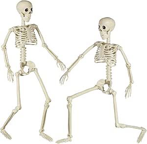Amazon.com: XONOR Halloween Skeleton Full Body Posable Joints Skeletons ...