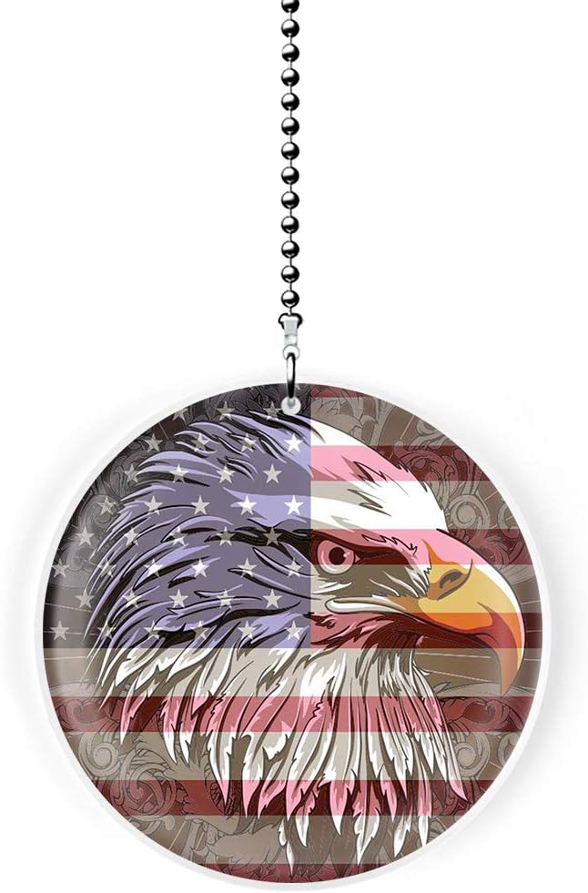 Amazon.com : Gotham Decor Antique American Eagle and Flag Fan/Light ...