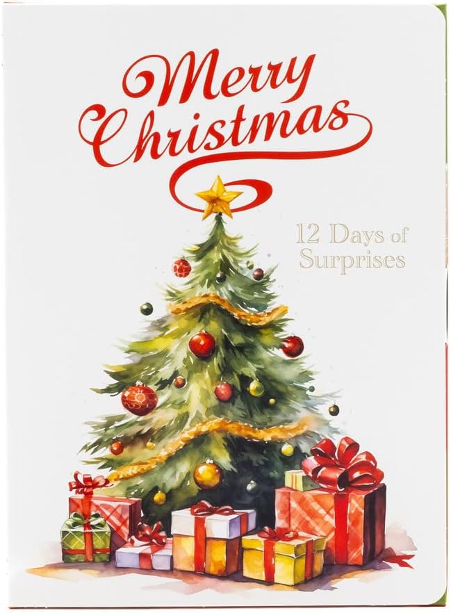 Amazon.com: Empty Advent Calendar Packaging, Create your own Advent ...