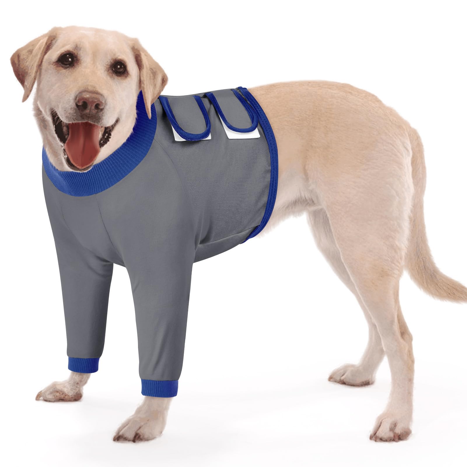 Amazon.com: KOESON Dog Recovery Sleeve for Front Legs, Soft Dog Surgery ...