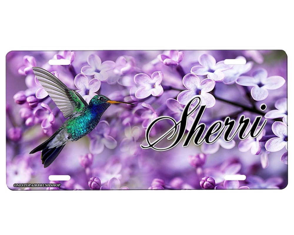 Amazon.com: onestopairbrushshop Hummingbird License Plate : Automotive