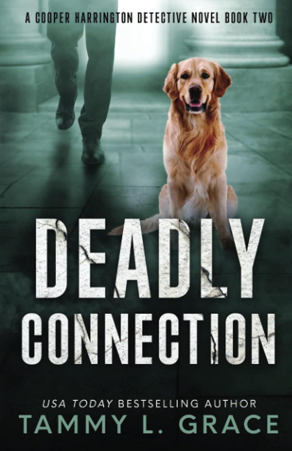 Amazon.com: Deadly Connection: A Cooper Harrington Detective Novel ...