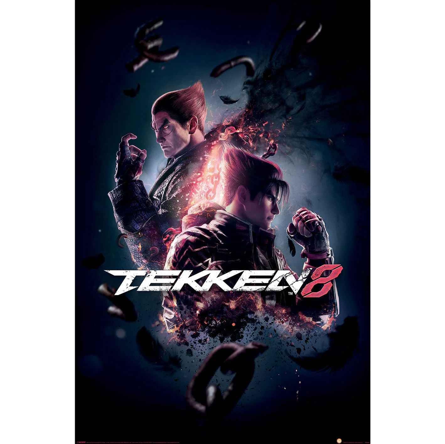 Tekken Movie Poster Movie Tekken HD Wall Poster Paper Print Movies