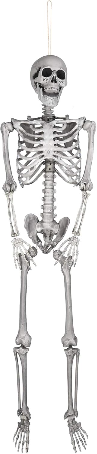 Amazon.com: AW 5.4 ft Full Body Skeleton Props with Movable Joints for ...